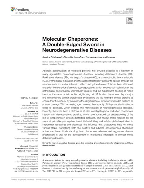 Pdf Molecular Chaperones A Double Edged Sword In Neurodegenerative
