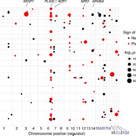 Repeated Use Of Pdsa Cycle Adapted From Langley Et Al 2009 Repeated Use Of Pdsa Cycle Adapted From Langley Et Al 2009
