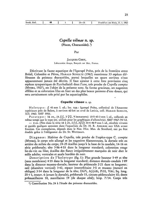 Copella Vilmae N Sp Pisces Characoidei Pisces