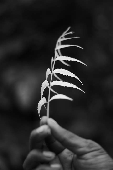 Deepak Maurya Photography