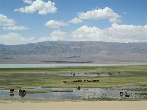 Орог нуур Түйн голын сав газрын талуудын оролцооны зөвлөл Updated Their Cover Орог нуур