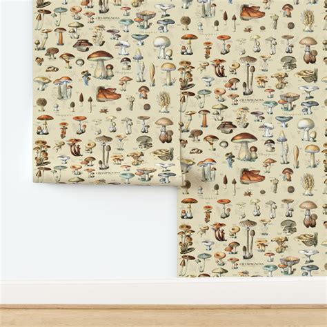 Mushroom Classification Wallpaper In Wallpaper Spoonflower