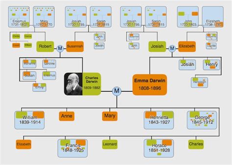 Physical Anthropology Inbreeding To Forward