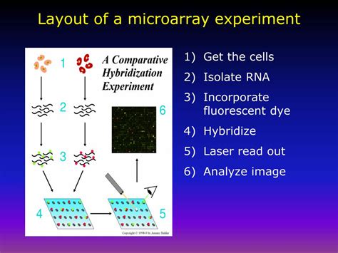 PPT Introduction In Bioinformatics PowerPoint Presentation Free Download ID