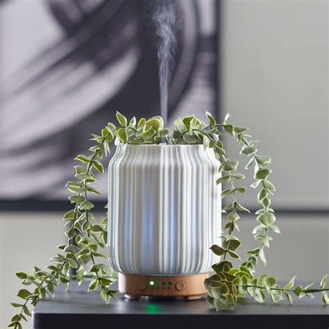 Dunelm Trailing Eucalyptus Electronic Diffuser White Shopstyle Home