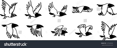 날아다니는 새 순서 스톡 벡터 로열티 프리 127533242 Shutterstock