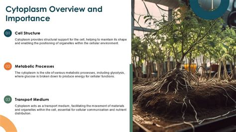 Cytoplasm Overview And Importance Cytoplasm Function Ppt Guidelines Acp Ppt Sample