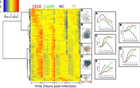 temporal clustering identifies five distinct gene expression patterns