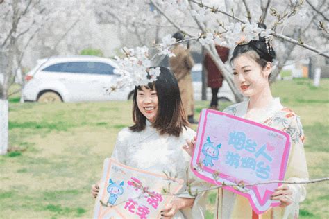 开启一城好春光快来打卡2021烟台人游烟台赏花季暨龙湖国际海岸樱花节吧 活动