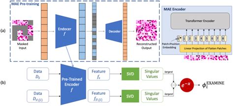 Proposed Pipeline For EXAMINE Data Assessment A Using The Download Scientific Diagram