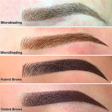 Powder Brows Vs Microshading Similarity And Difference