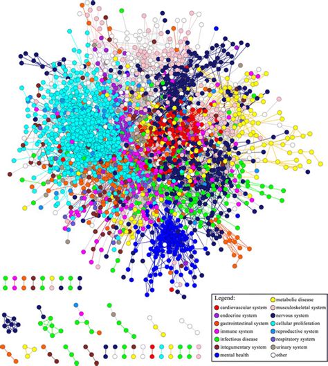An Overview Of Disease Similarity Network Dsn Based On Mednetsim Download Scientific Diagram