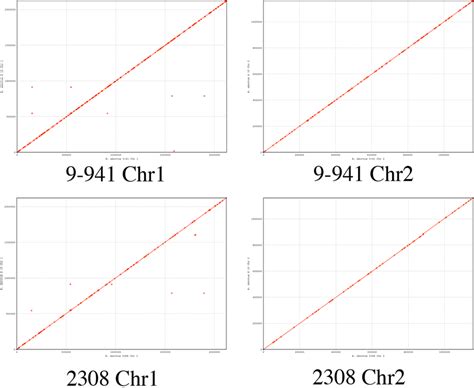 Comparative Genomic Analysis Of The Brucella Abortus Strain S19 With