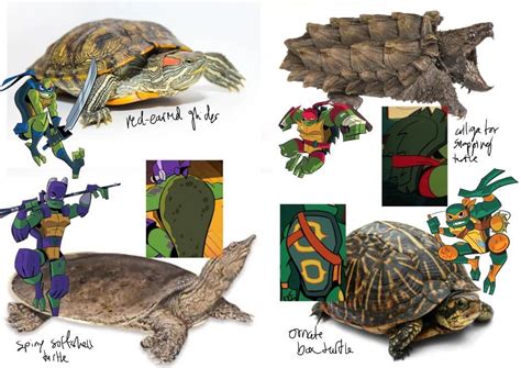 42 Tmnt Ideas Tmnt Ninja Turtles Funny Teenage Mutant Ninja Turtles Artwork