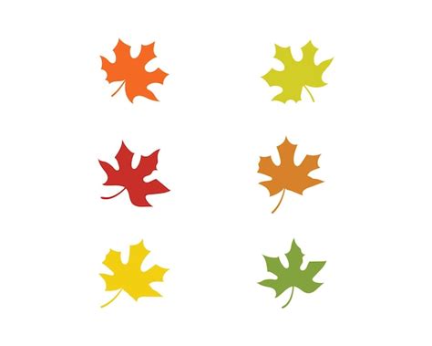 Premium Vector Maple Leaf Vector Illustration