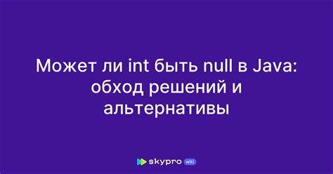 Может ли Int быть Null в Java обход решений и альтернативы