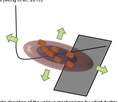 Figure 2 From Fault Reactivation Via Pre Existing Fracture Networks