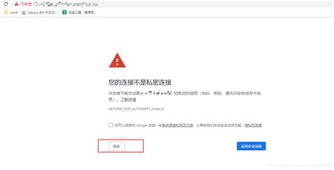 Vue登录请求报错net Err Cert Common Name Invalid Vue登录请求成功error错误 Csdn博客