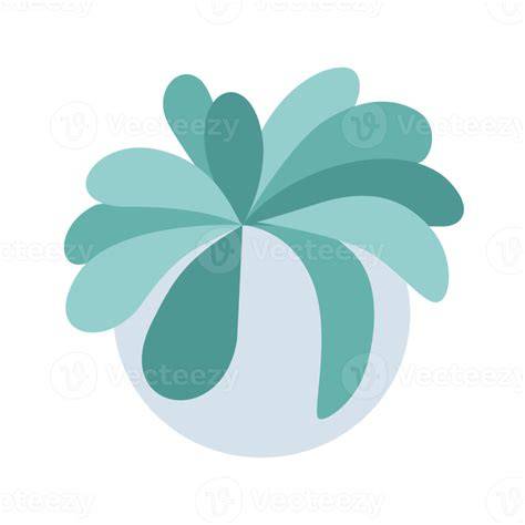 Simple Asplenium Potted House Plant For Design Ornament 15152856 Png