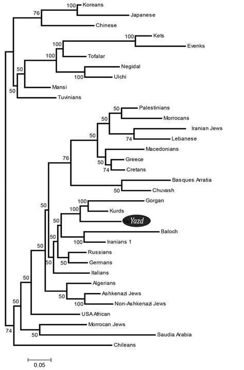 Neighbor Joining Nj Dendrogram Showing Relatedness Between Yazd