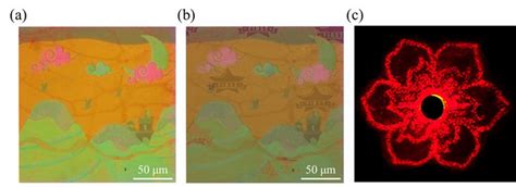 Metasurface Engineered To Create Three Differ Eurekalert