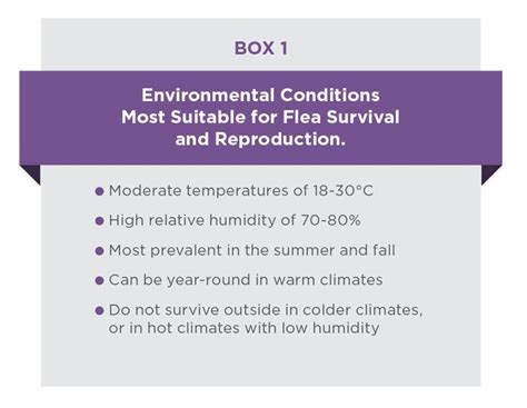 Flea Allergy Dermatitis What Your Clients Need To Know Todays