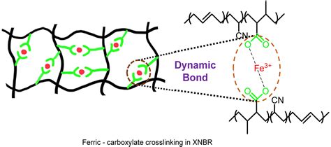 Dynamic Co‐ordination Networks In Carboxylated Nitrile Rubber And Development Of Self‐healing