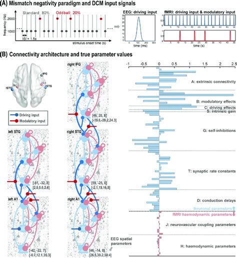 Experimental Inputs Connectivity Architecture And Parameter Values Download Scientific Diagram