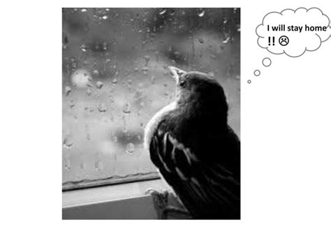 Conditional Type Zeo One Two And Three 0 1 2 3 Pptx