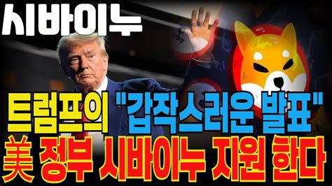 시바이누 트럼프의 갑작스러운 발표 美 정부 시바이누 지원한다 Youtube
