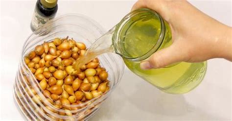 Посипте цим свій шніт цибулю перед посадкою щоб отримати чудовий урожай Смачні Поради