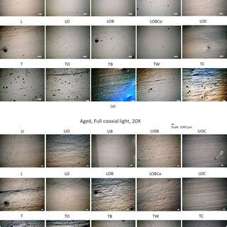 Micrographs Of The Lacquer Surfaces Of The Formulations Before And Download Scientific