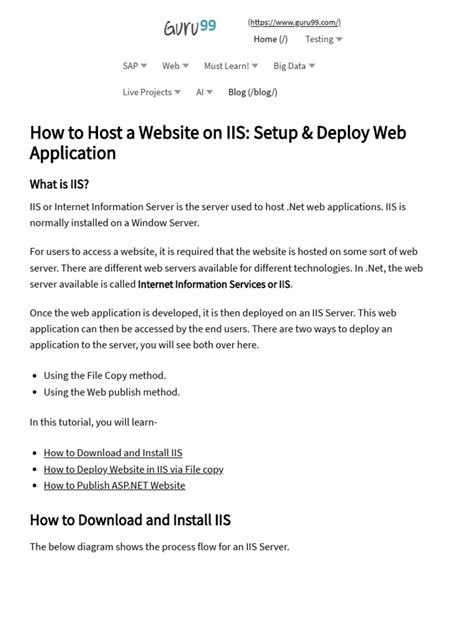9 How To Host A Website On Iis Setup And Deploy Web Application Pdf