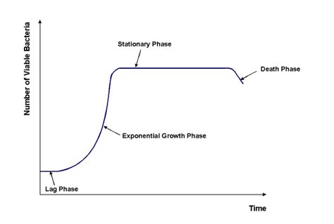 Bacterial Growth Curves Using A Spectrophotometer Turbidimetric Determination