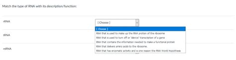Solved Match The Type Of RNA With Its Description Function Chegg Com