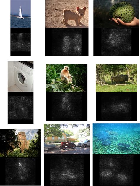 Pdf Deep Inside Convolutional Networks Visualising Image Classification Models And Saliency