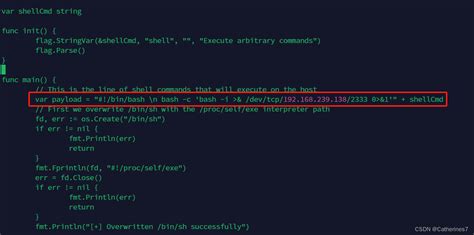 Docker逃逸 Cve 2019 5736浅析 Cve 2019 5736利用条件分析 Csdn博客