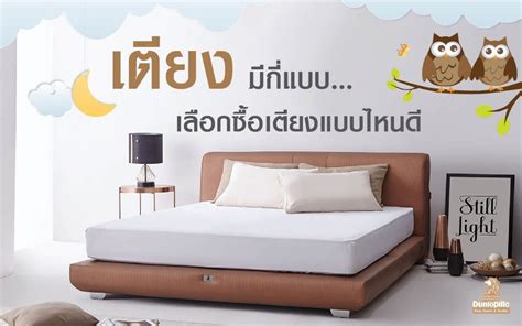 เตียงมีกี่แบบ เลือกเตียงนอนแบบไหนดี