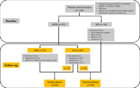 The Grouping Flow Chart Ud Unipolar Depression Patients With Major