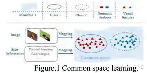 基于层次适应的零样本学习 知乎