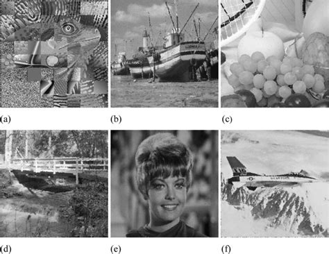 Noise Recovered Images Using Proposed Algorithm On Images A Frymire