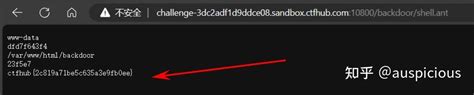Ctfhub做题记录 Web进阶篇 知乎
