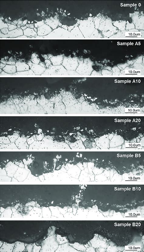 Optical Micrograph Of Cross Section Of Enamelled Samples Dendritic Download Scientific Diagram