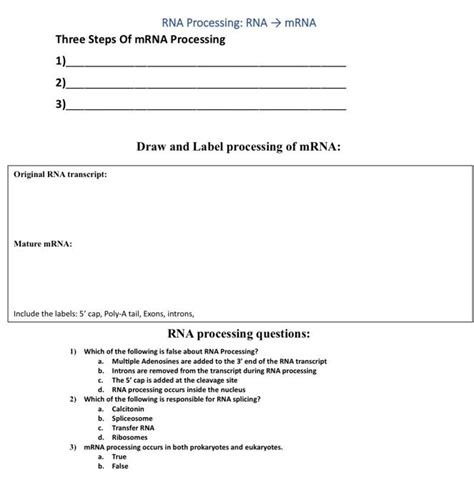 Solved RNA Processing RNA MRNA Three Steps Of MRNA Chegg
