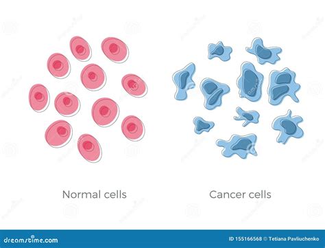 Cancer And Normal Cells Stock Image 18156703