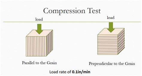 Solved Compression Test Wood Specimens Wood Differs From