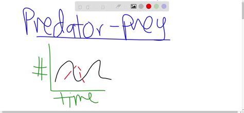 Solved This Graph Shows A Predator Prey Cycle For Wolves And Moose Explain Why The Graphs Do
