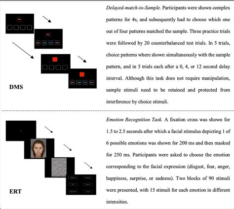 Description Of The Cambridge Neuropsychological Test Automated Battery Download Scientific