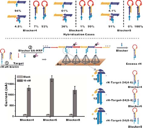 Figure 1 From Single Step Multivalent Capture Assay For Nucleic Acid