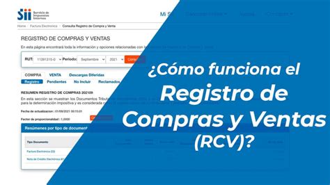 ¿qué Es El Registro De Compras Y Ventas Rcv Rivera Capacita